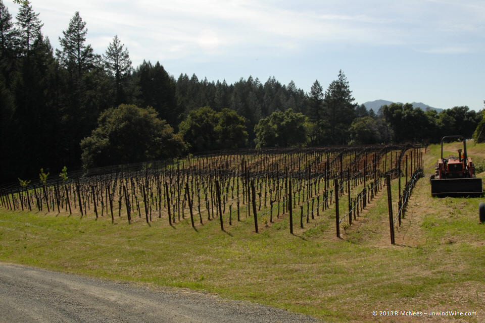 UnwindWine: Arns Napa Valley Estate Vineyards