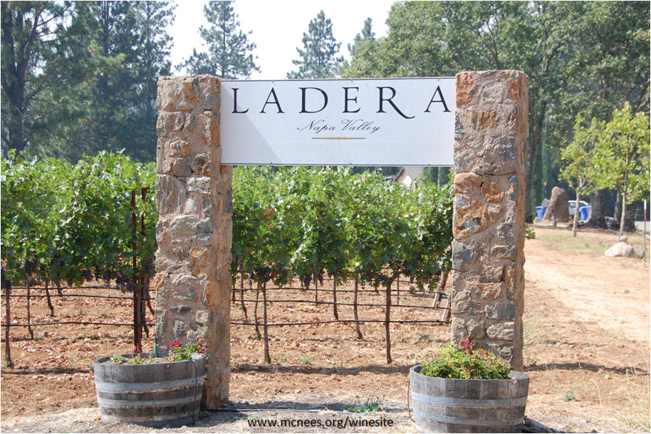 Napa Wine Experience 2003